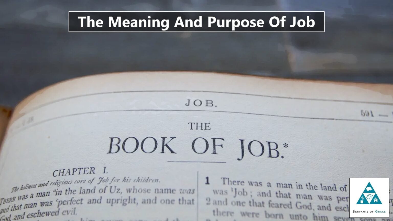 The Meaning and Purpose of Job