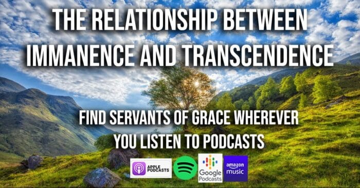 The Relationship Between Immanence and Transcendence