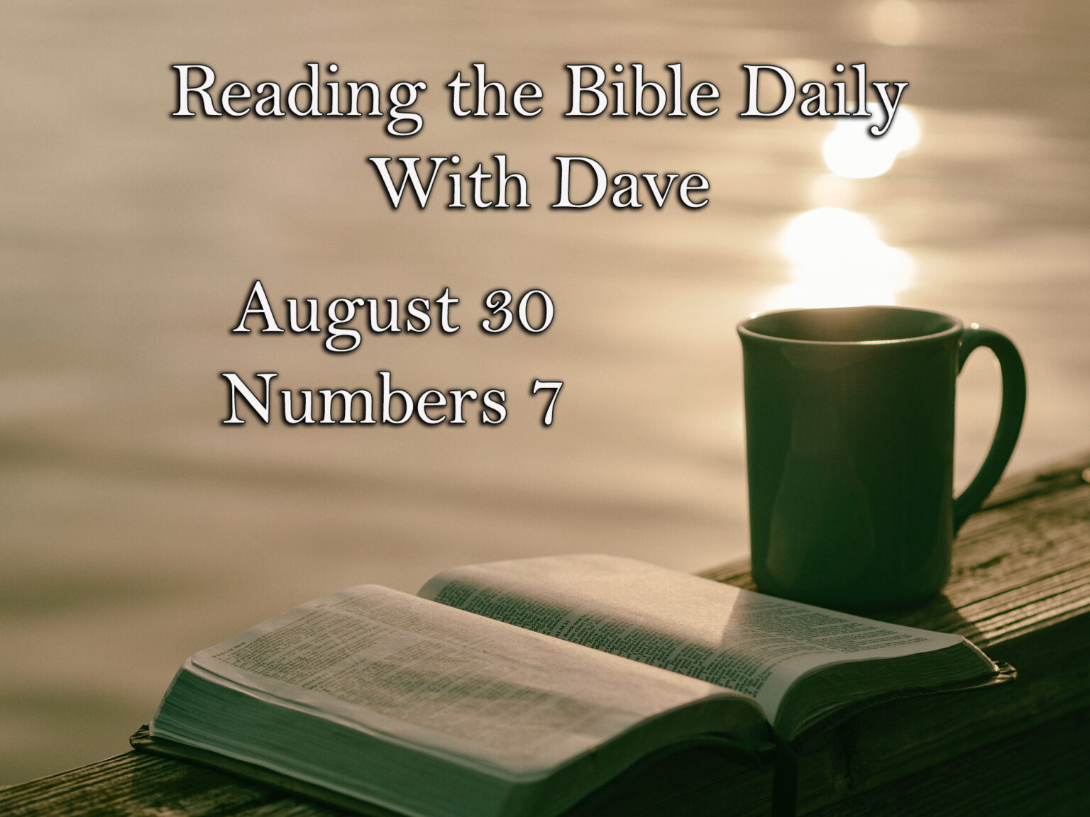Reading the Bible Daily with Dave: August 30th Numbers 7